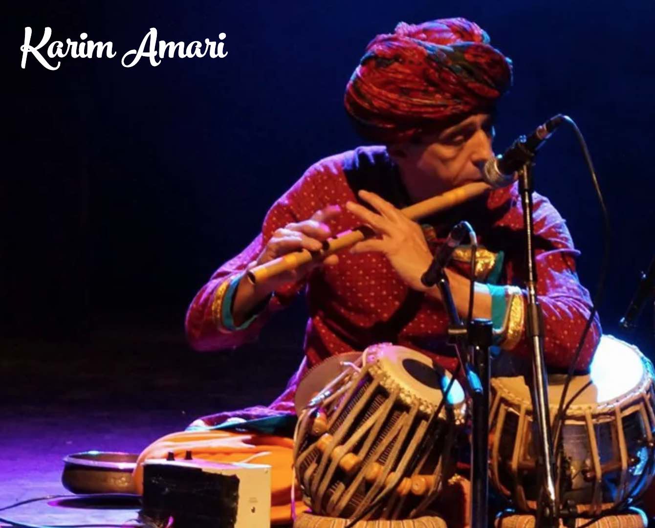 Hindoustani et raga Alap avec Karim - Harmonic Festival
